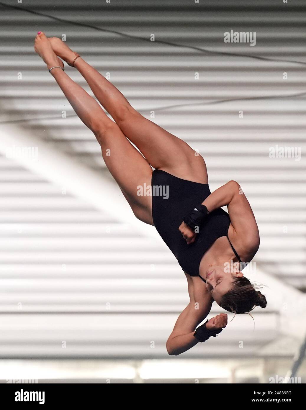 Hannah Newbrook in the Women's Platform premliminary on day one of the ...