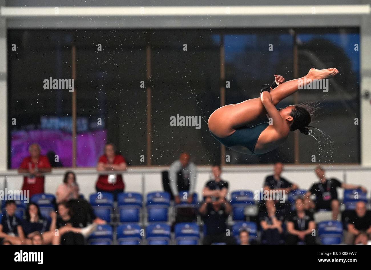 Eden Cheng in the Women's Platform preliminary on day one of the 2024 ...