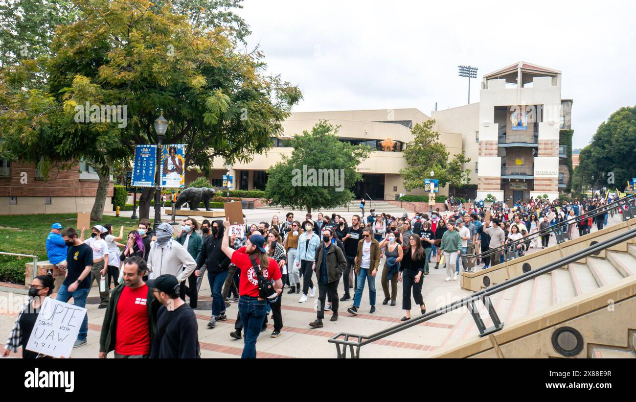 Los Angeles, USA. 23rd May, 2024. Members of UAW 4811, the union ...