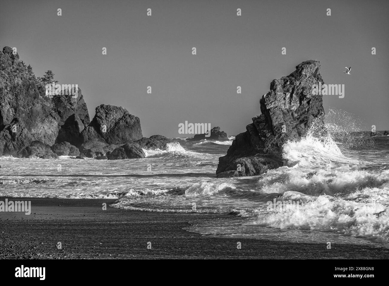 Surf and sea stacks at Ruby Beach in Olympic National Park, Washington ...