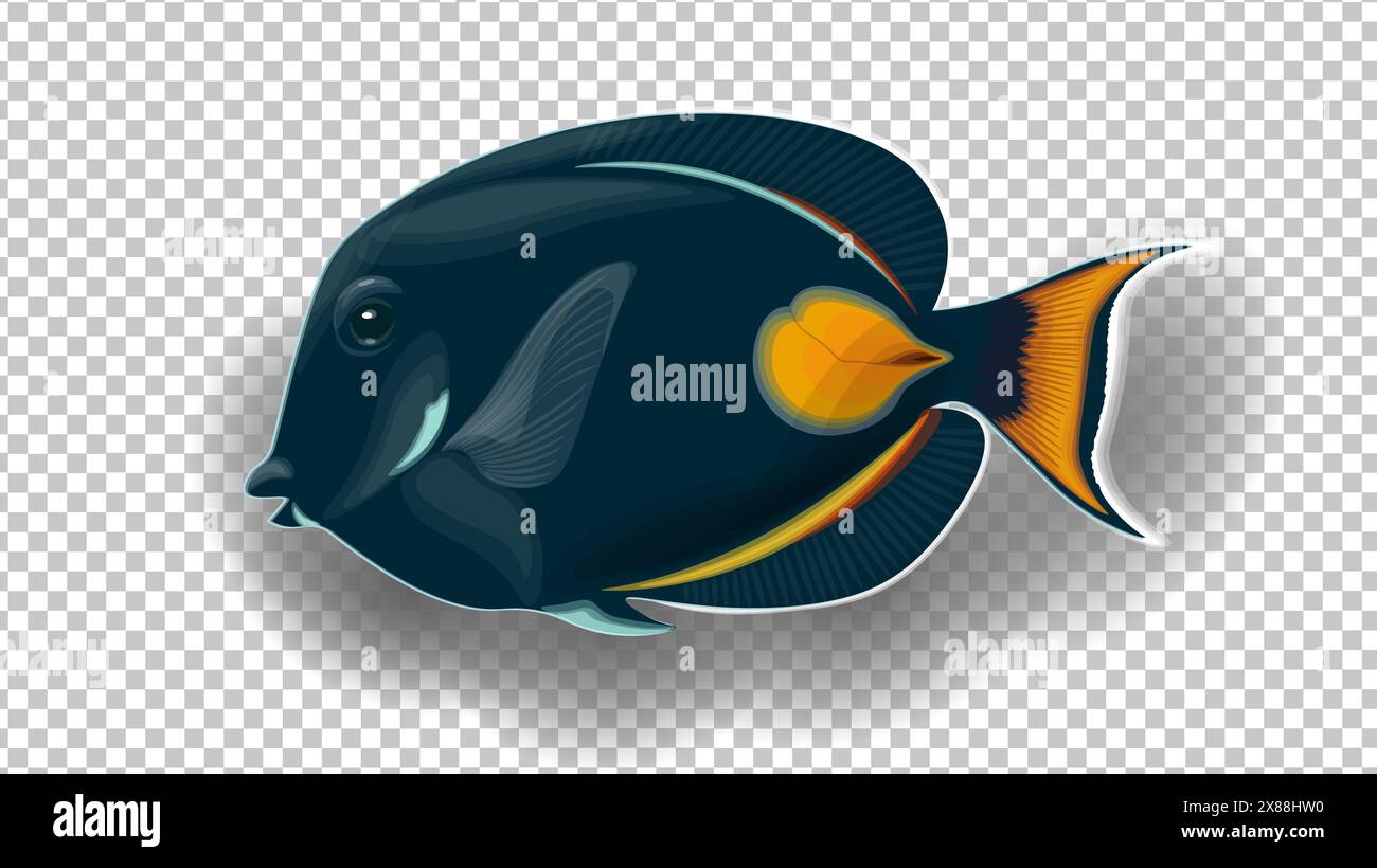 Achilles Tang 3D fish in black and white colors. Transparent background ...