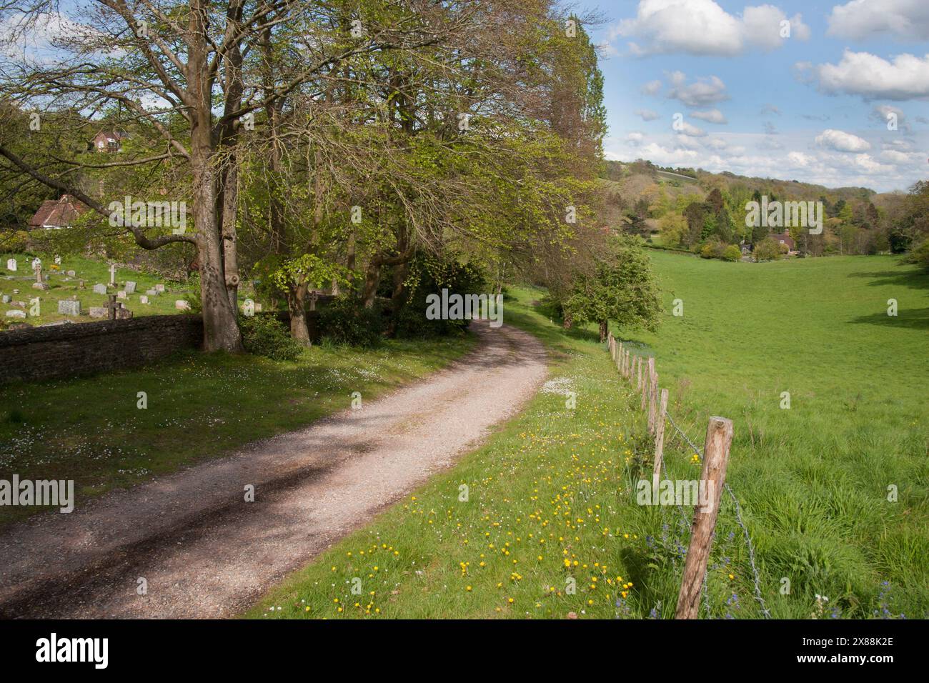 Seale spring hi-res stock photography and images - Alamy