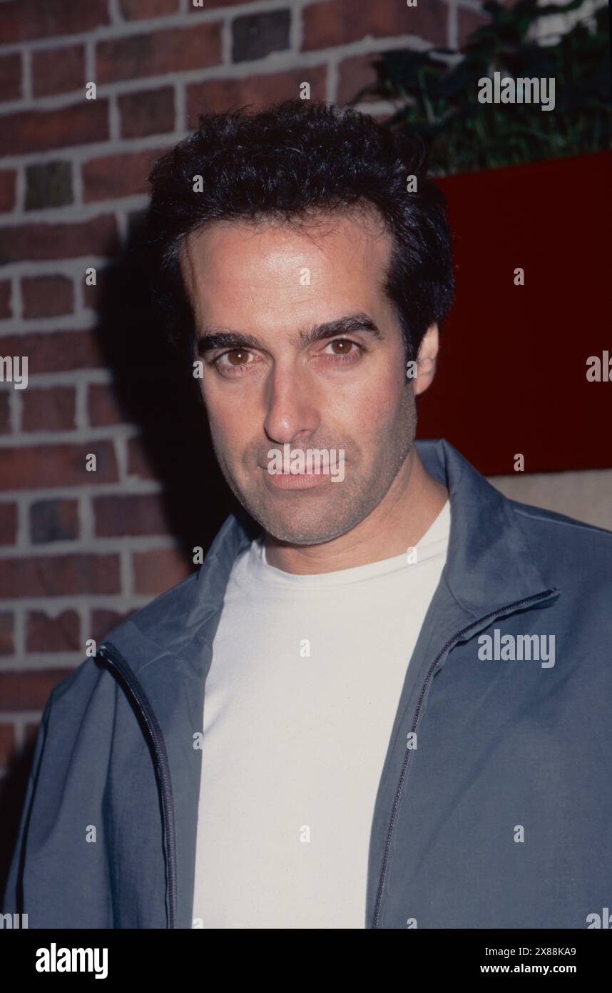 David Copperfield attends the after-party for The New York Film ...