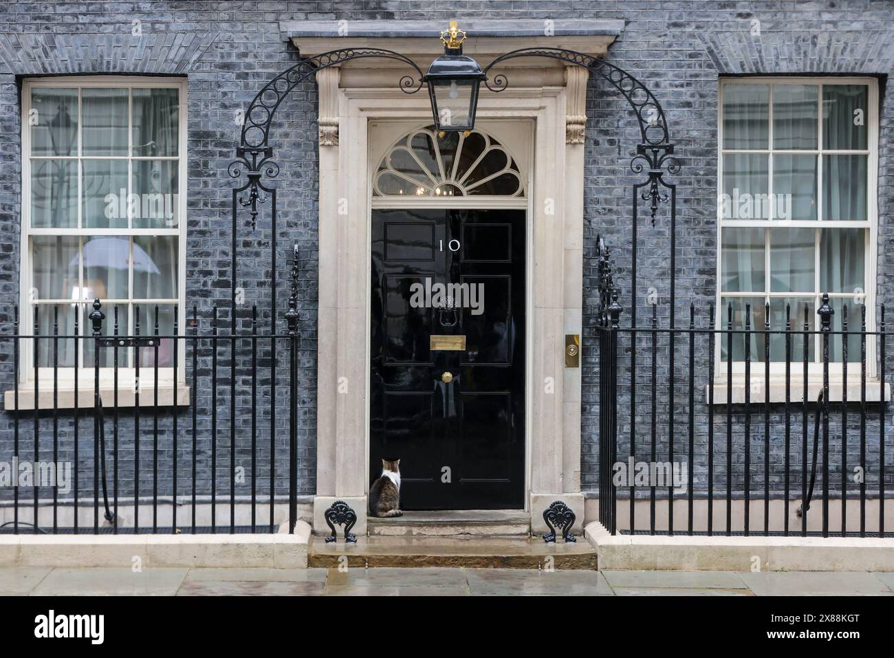 Larry, Downing Street cat sitting on the step of No 10 Downing Street ...