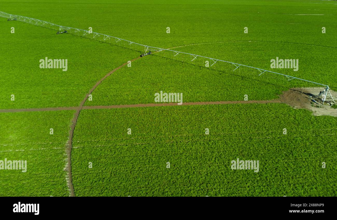 Soybean plantation, circular field with automated irrigation equipment ...