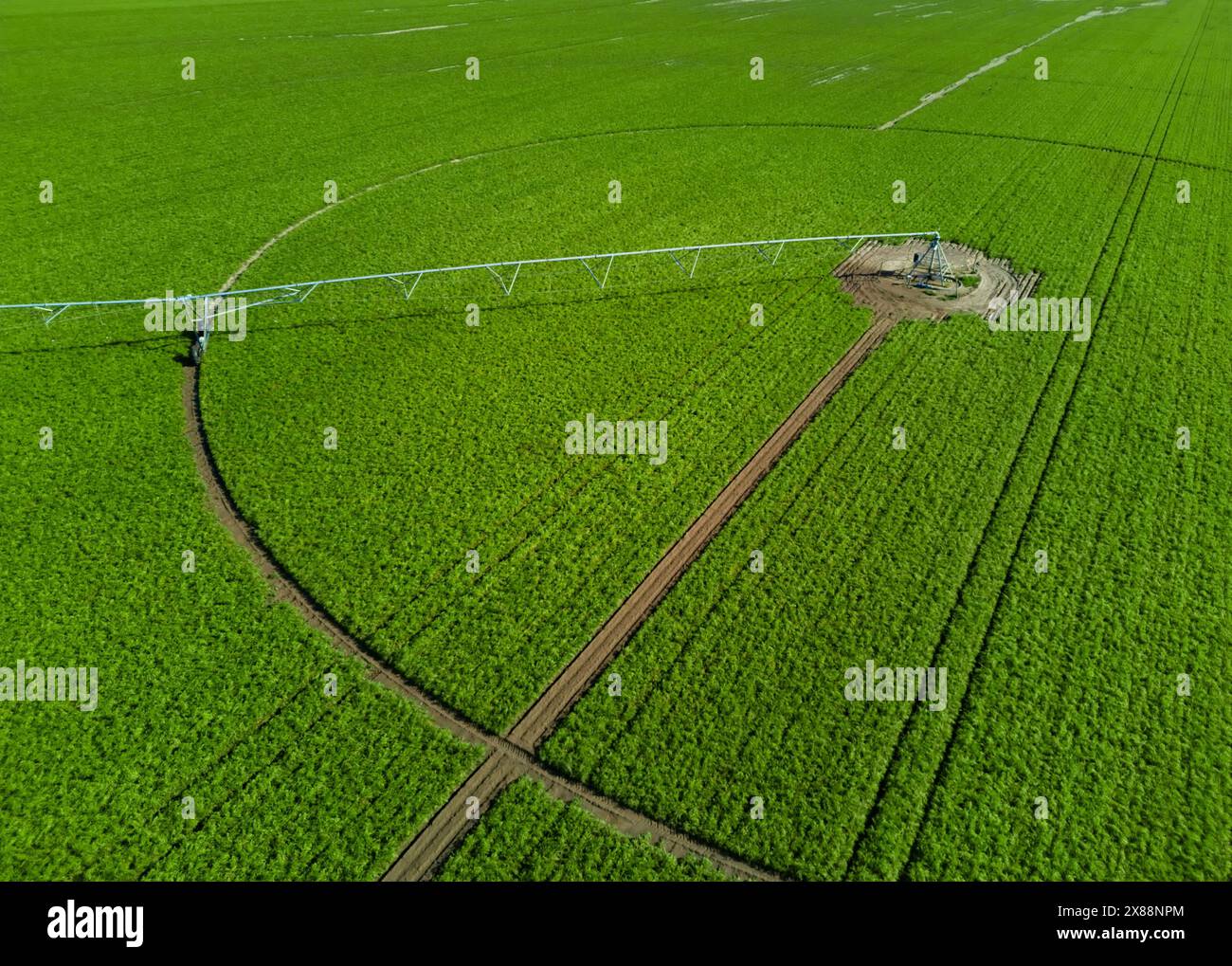 Soybean plantation, circular field with automated irrigation equipment ...