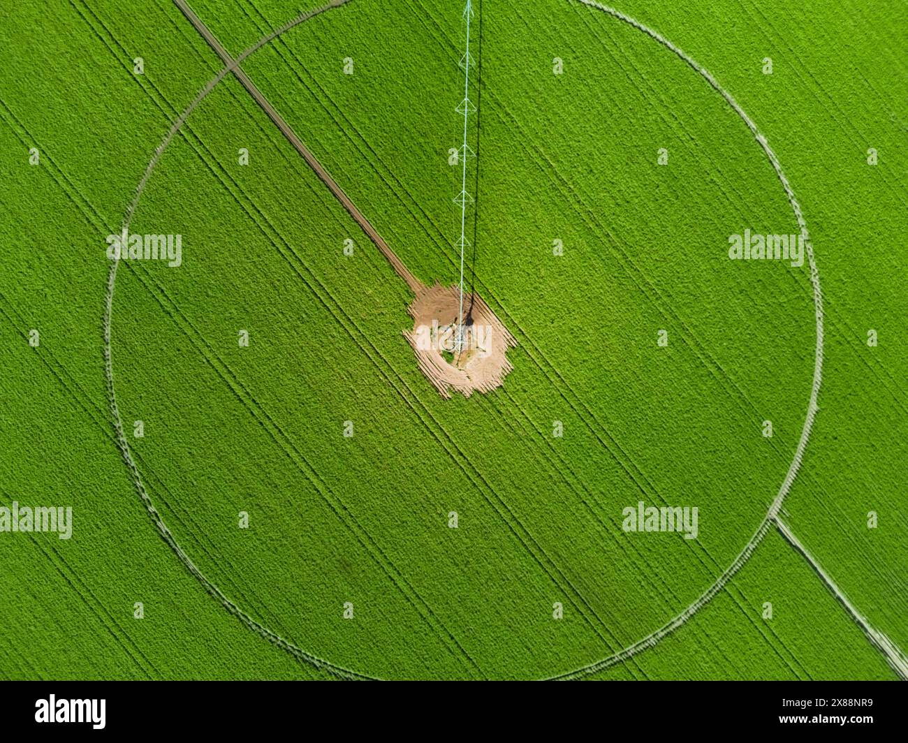 Soybean plantation, circular field with automated irrigation equipment ...