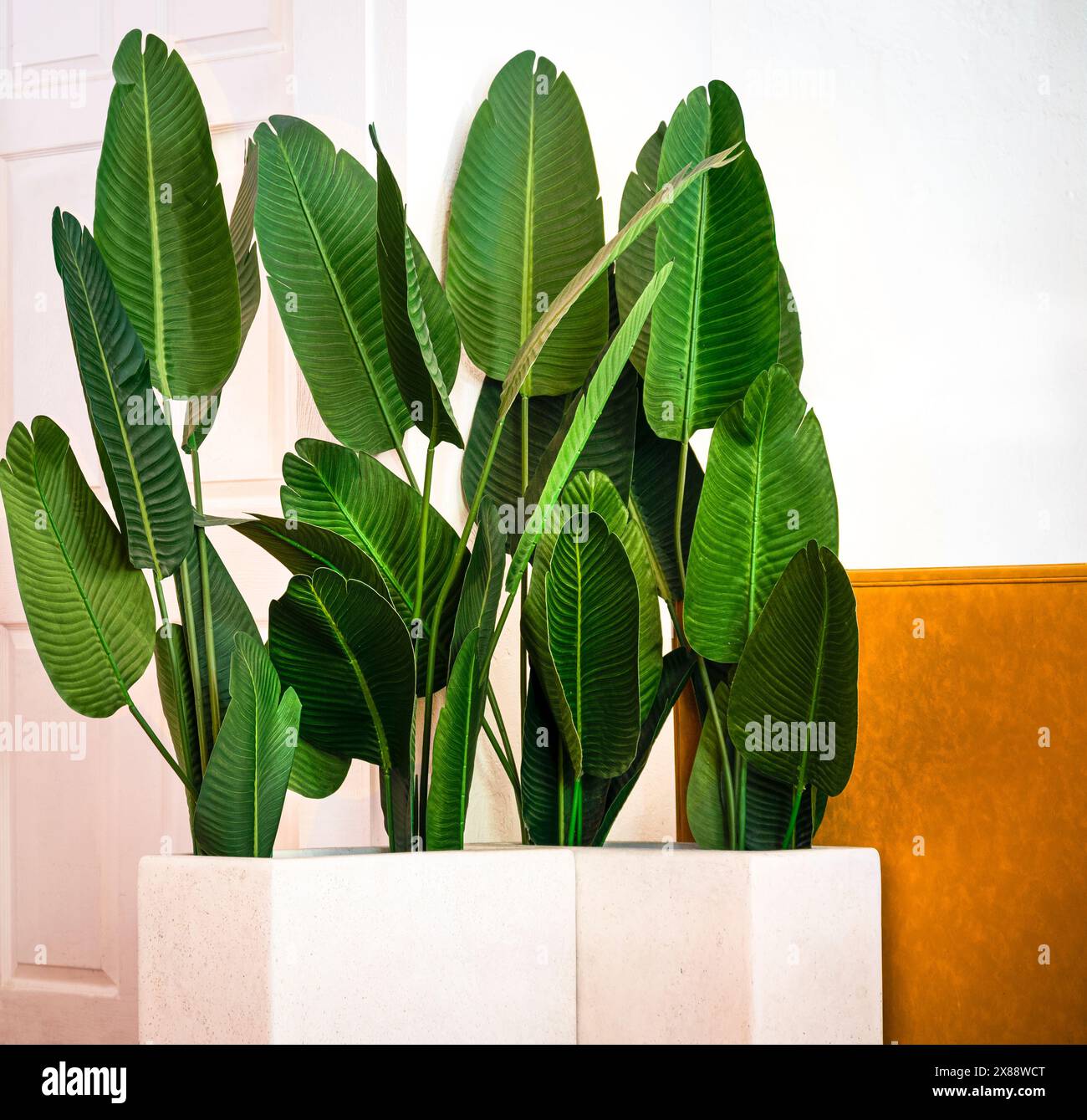 Modern boho room in coffee house with rectangular white planters with ...