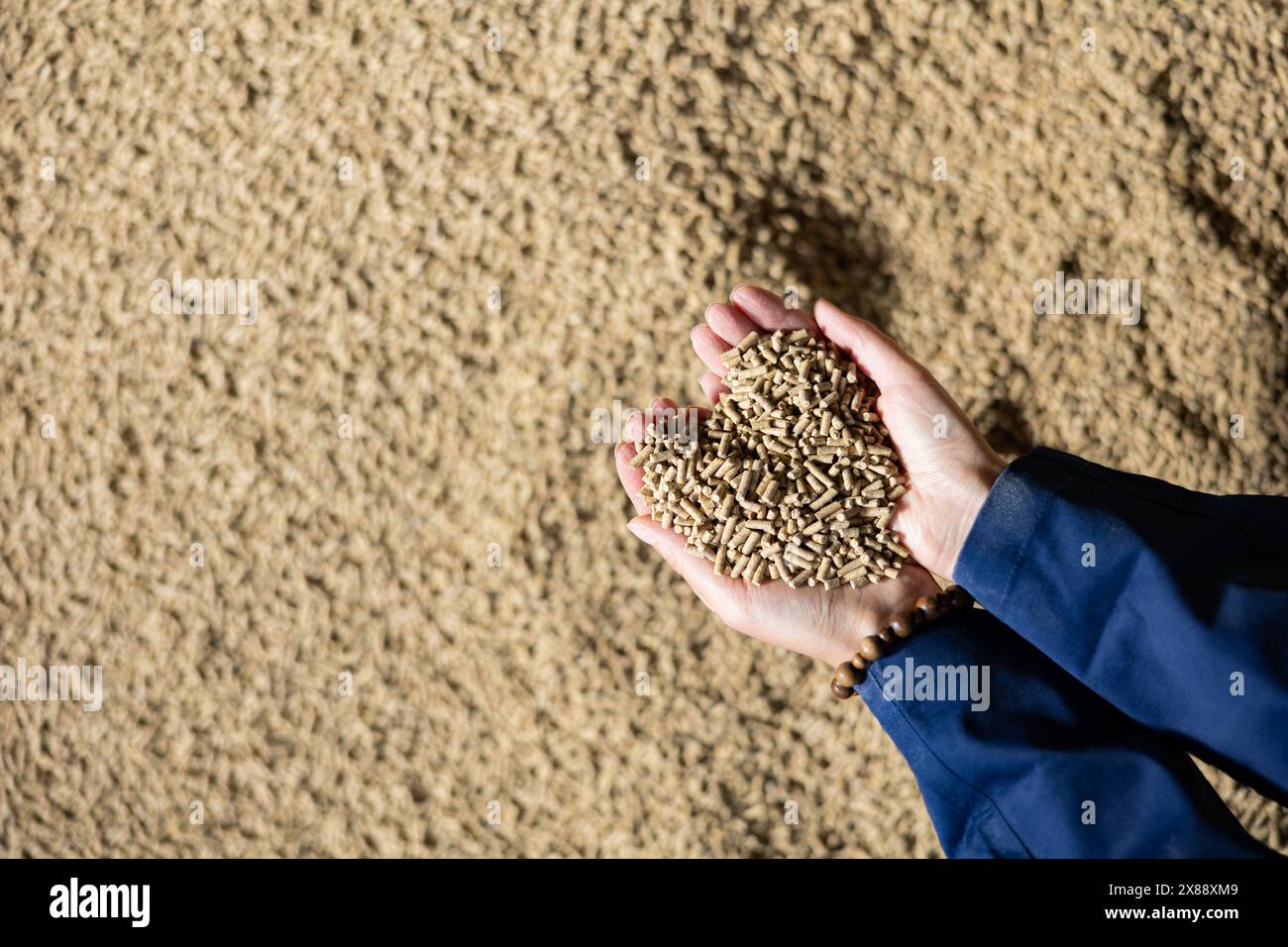 Calf feed, in hands of farmer Stock Photo - Alamy