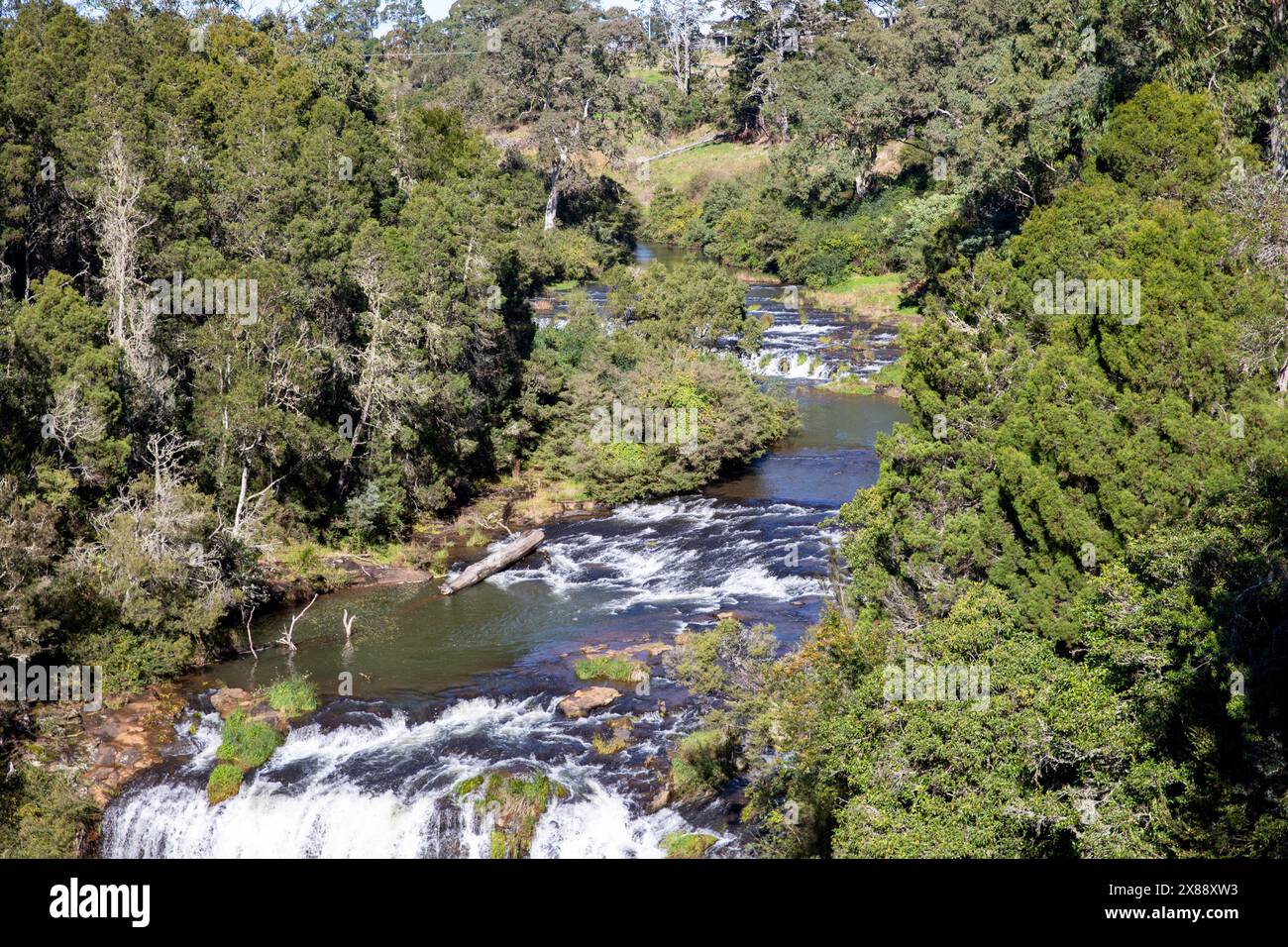 Dangar Falls Dorrigo, Bielsdown river in Dorrigo flowing into the ...