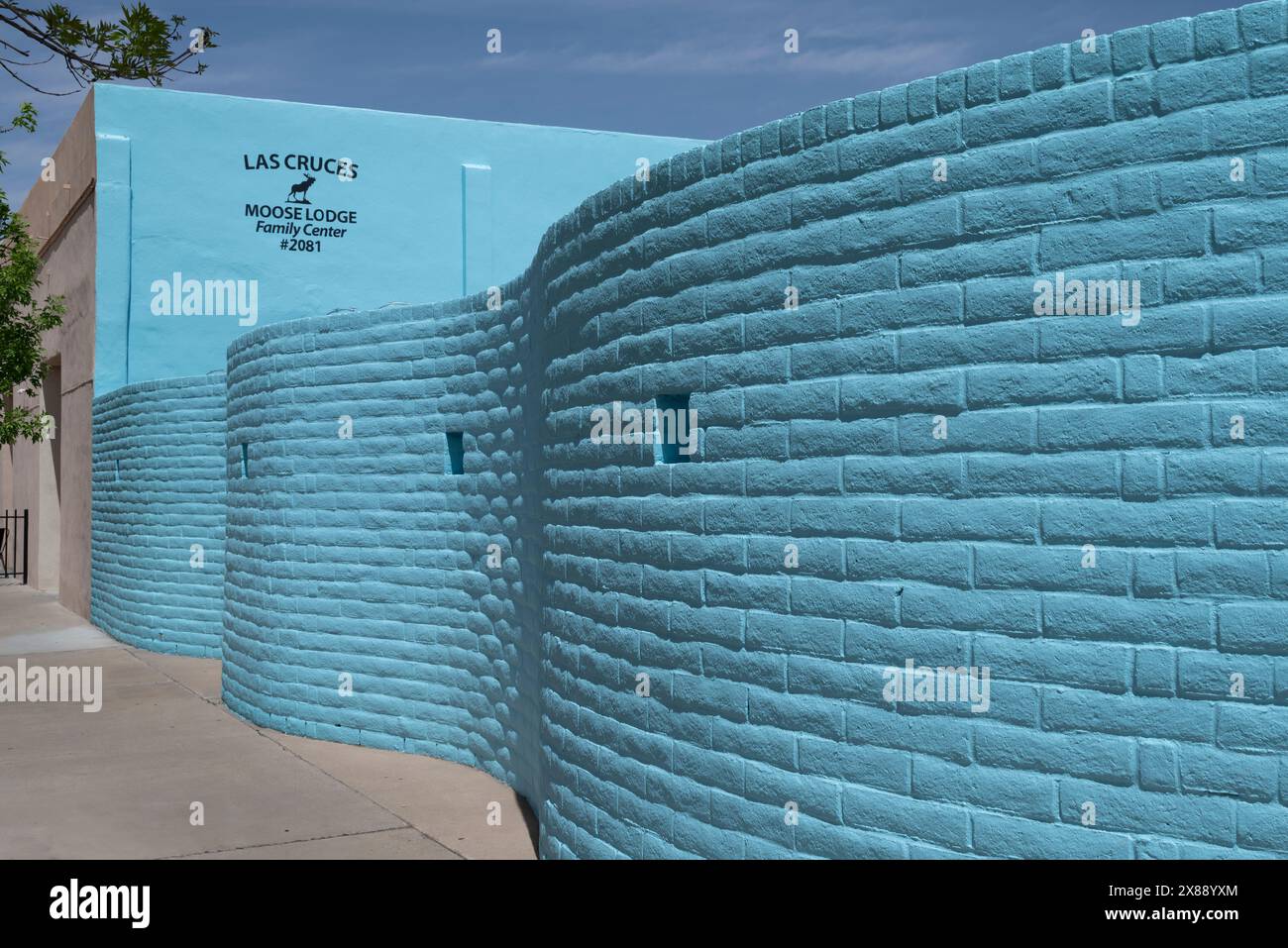 The Spa downtown's modern twist on an MCM undulating wall is a ...