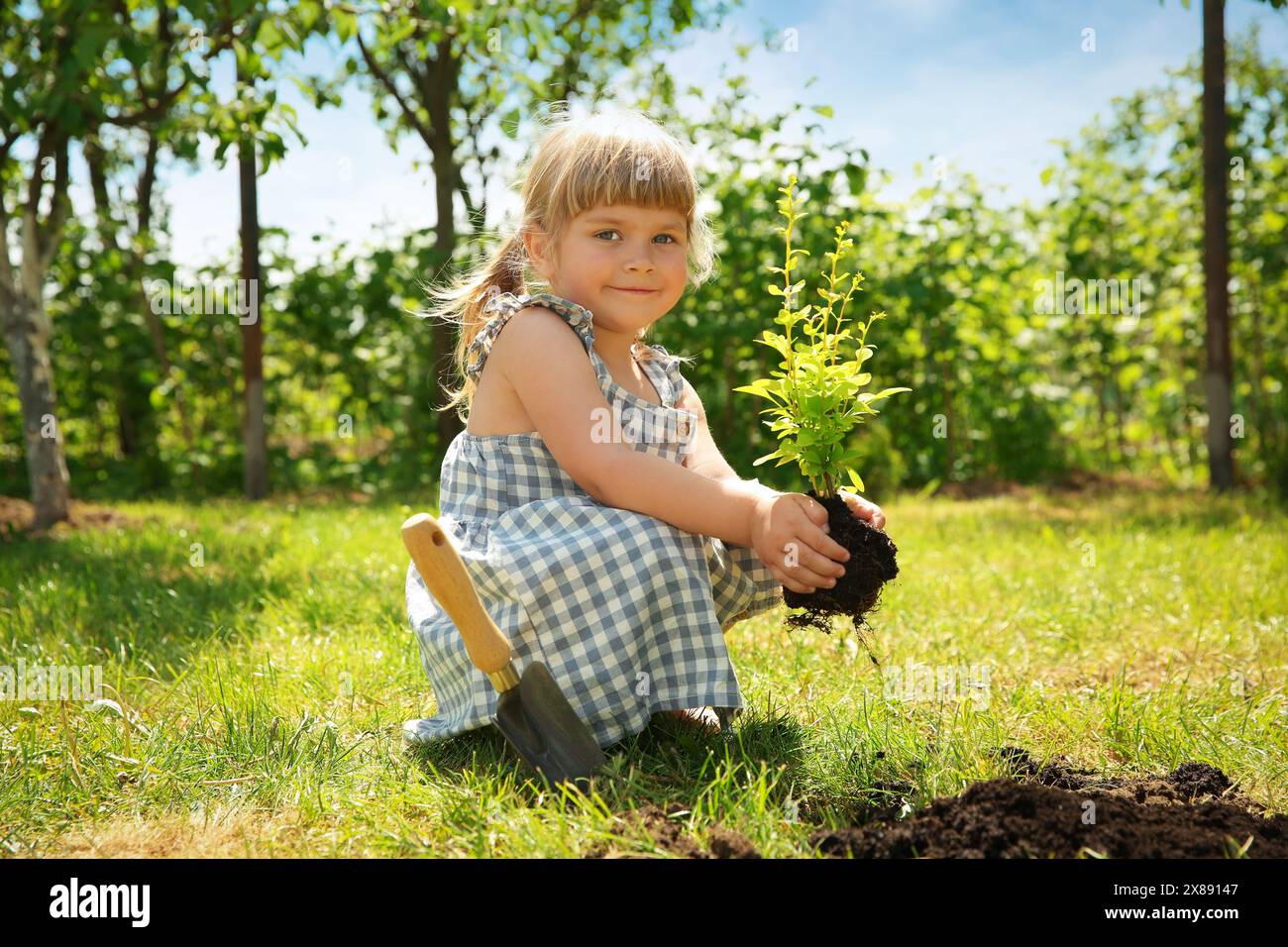 Cute little girl planting tree in garden Stock Photo - Alamy