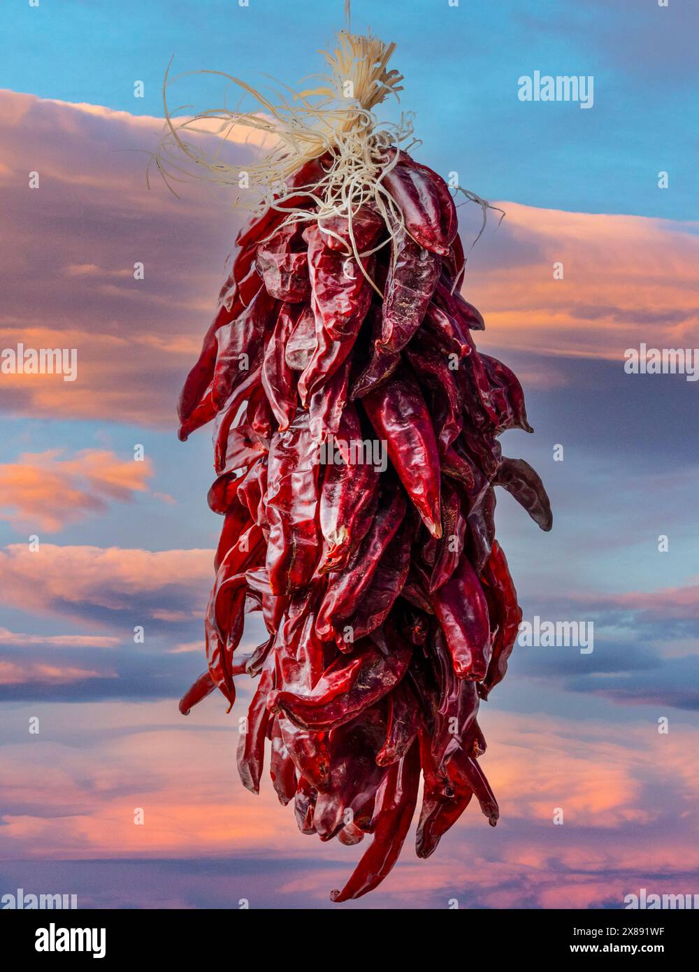 Chili exotic plant hi-res stock photography and images - Alamy