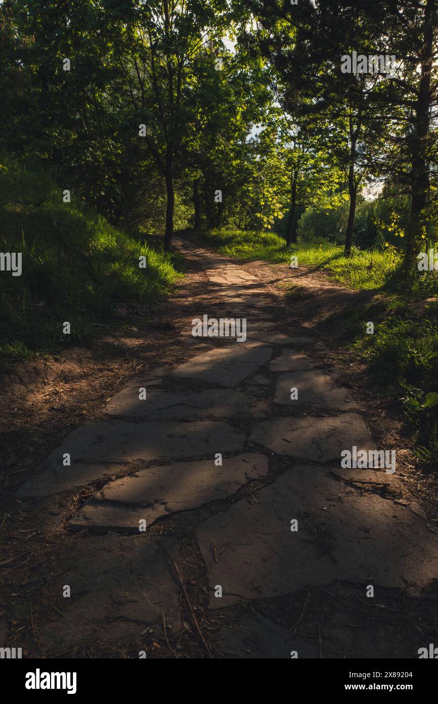The path in the sunny park. High quality photo Stock Photo - Alamy