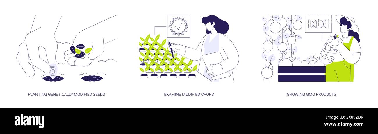 Gene engineering in agriculture abstract concept vector illustrations ...