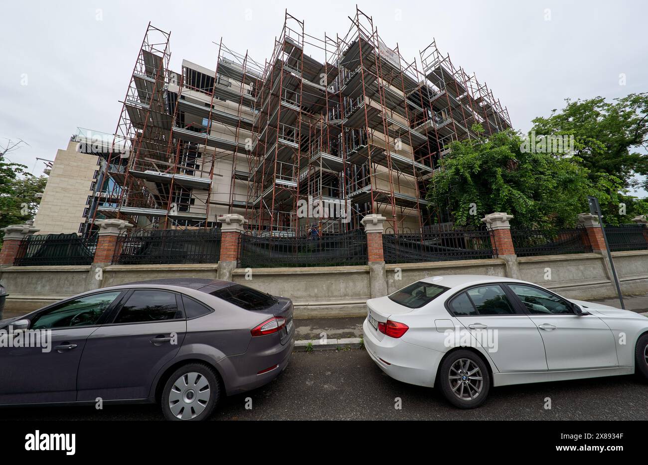 One modrogan hi-res stock photography and images - Alamy