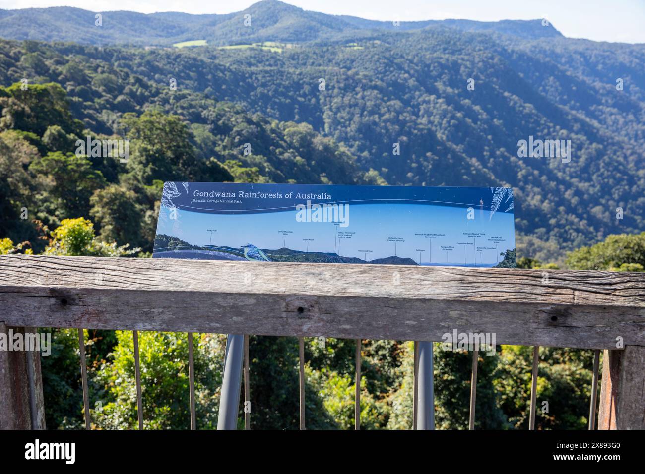 Dorrigo national park on the Waterfall way in New South Wales, world ...