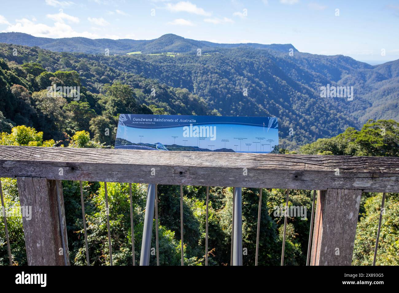 Dorrigo national park on the Waterfall way in New South Wales, world ...