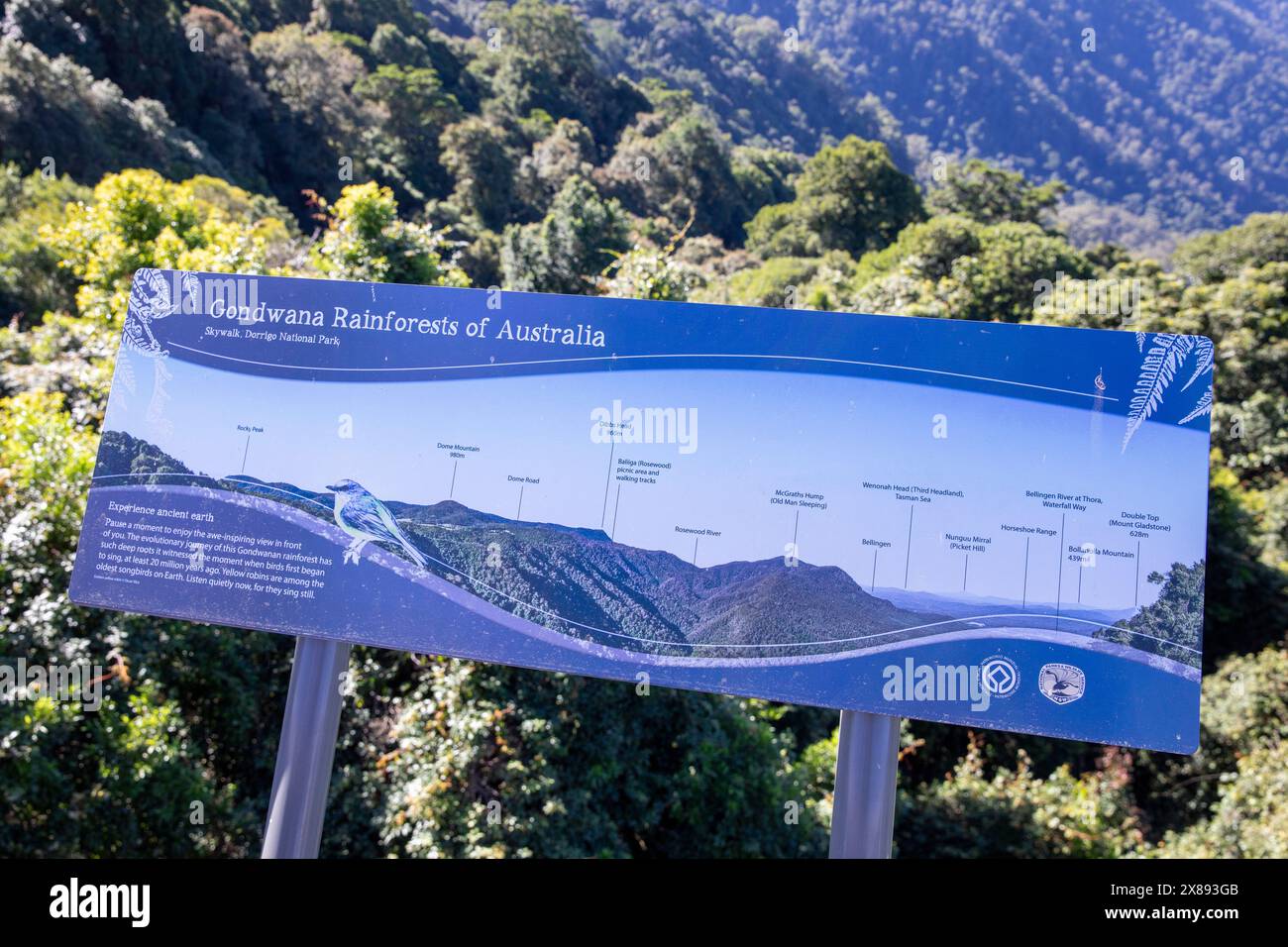 Dorrigo national park on the Waterfall way in New South Wales, world ...