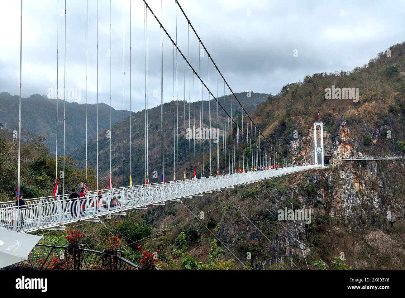 Bach Long Bridge in Moc Chau district, Son La province, Vietnam - March ...