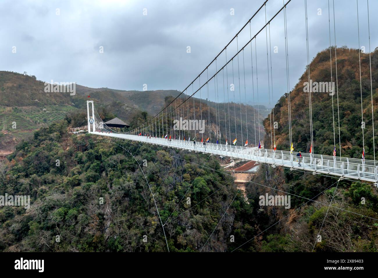 Bach Long Bridge in Moc Chau district, Son La province, Vietnam - March ...