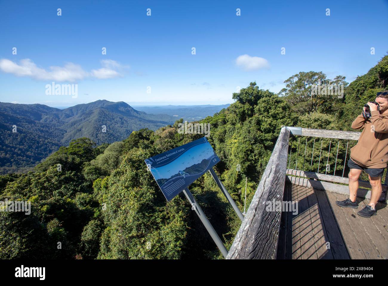 Dorrigo national park Australia, views of the Gondwana rainforest from ...