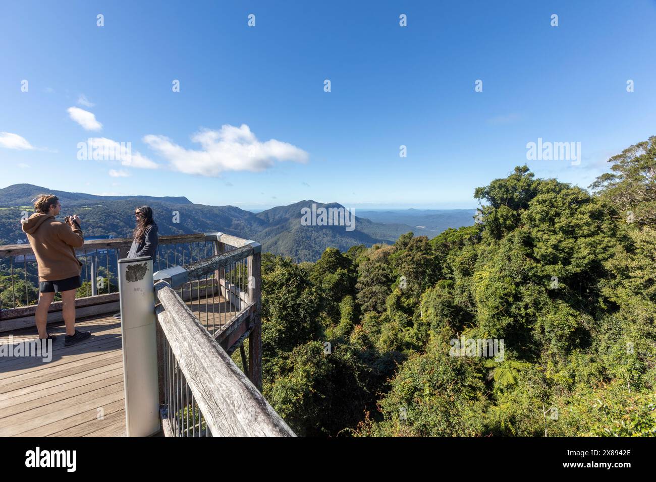 Dorrigo national park Australia, views of the Gondwana rainforest from ...