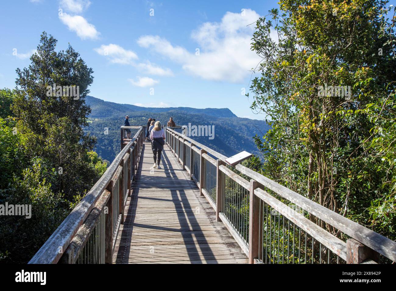 Dorrigo national park Australia, views of the Gondwana rainforest from ...