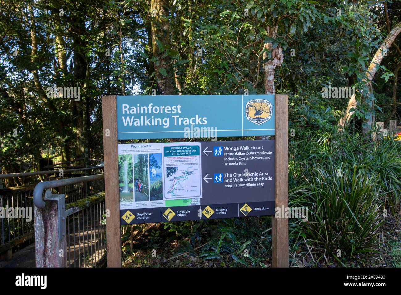 Dorrigo national park and rainforest walking tracks through the ...