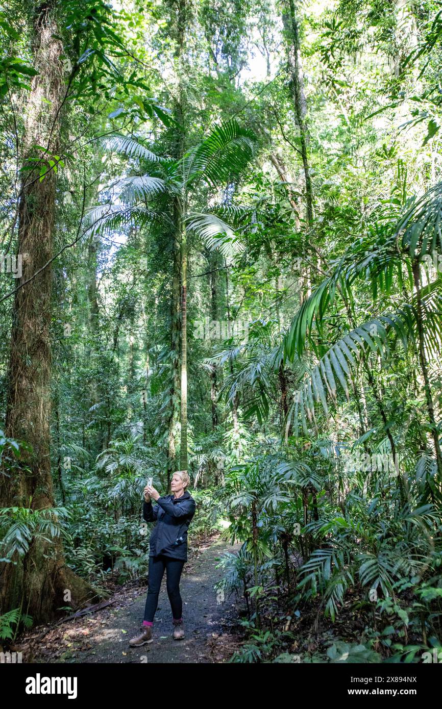 Dorrigo national park model released woman uses phone to photograph ...