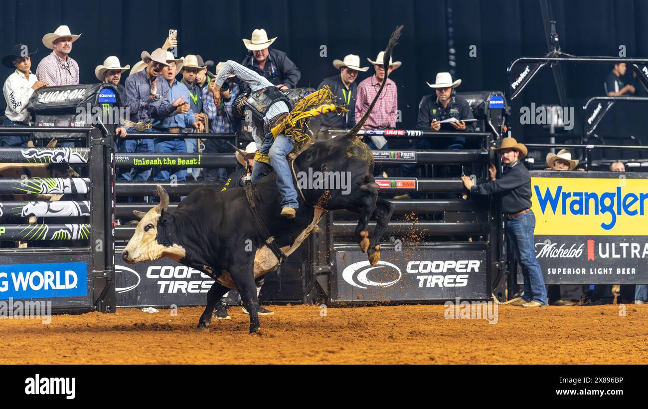 PBR World Finals 2024 in Dallas, Texas - Bullfighter hanging on for ...