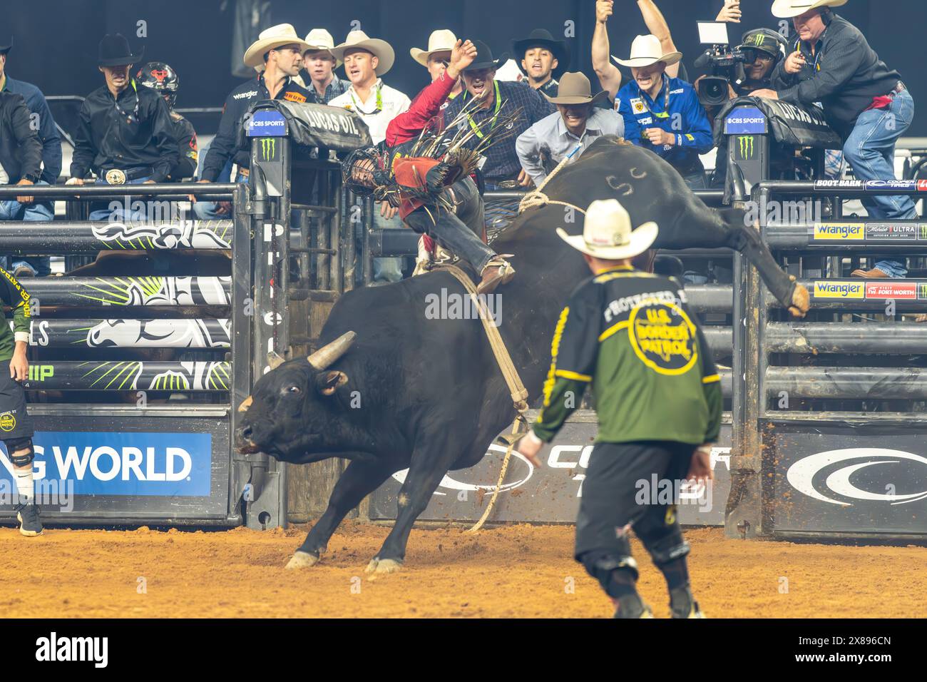 PBR World Finals 2024 in Dallas, Texas - Bullfighter hanging on for ...