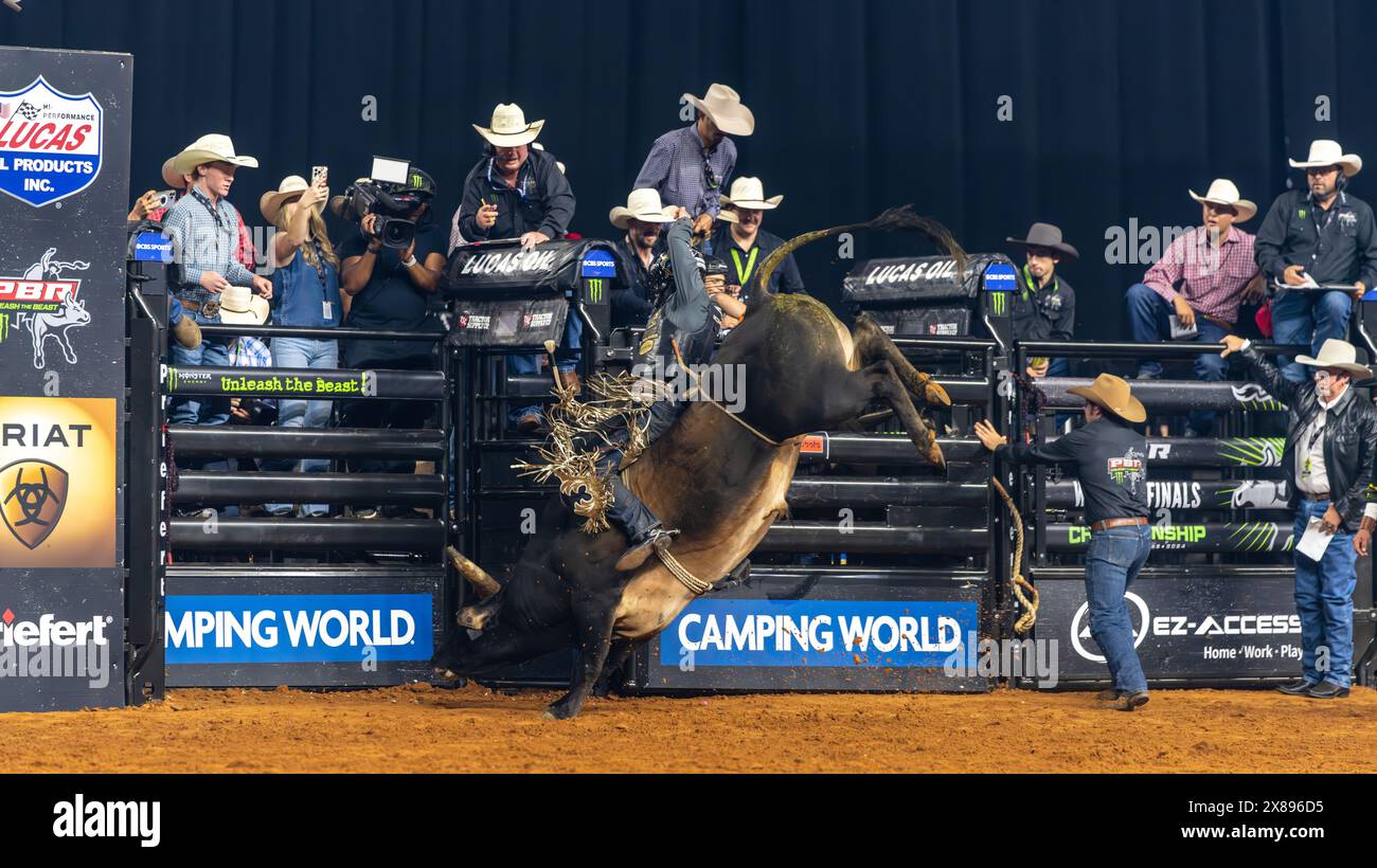 PBR World Finals 2024 in Dallas, Texas - Bullfighter hanging on for ...
