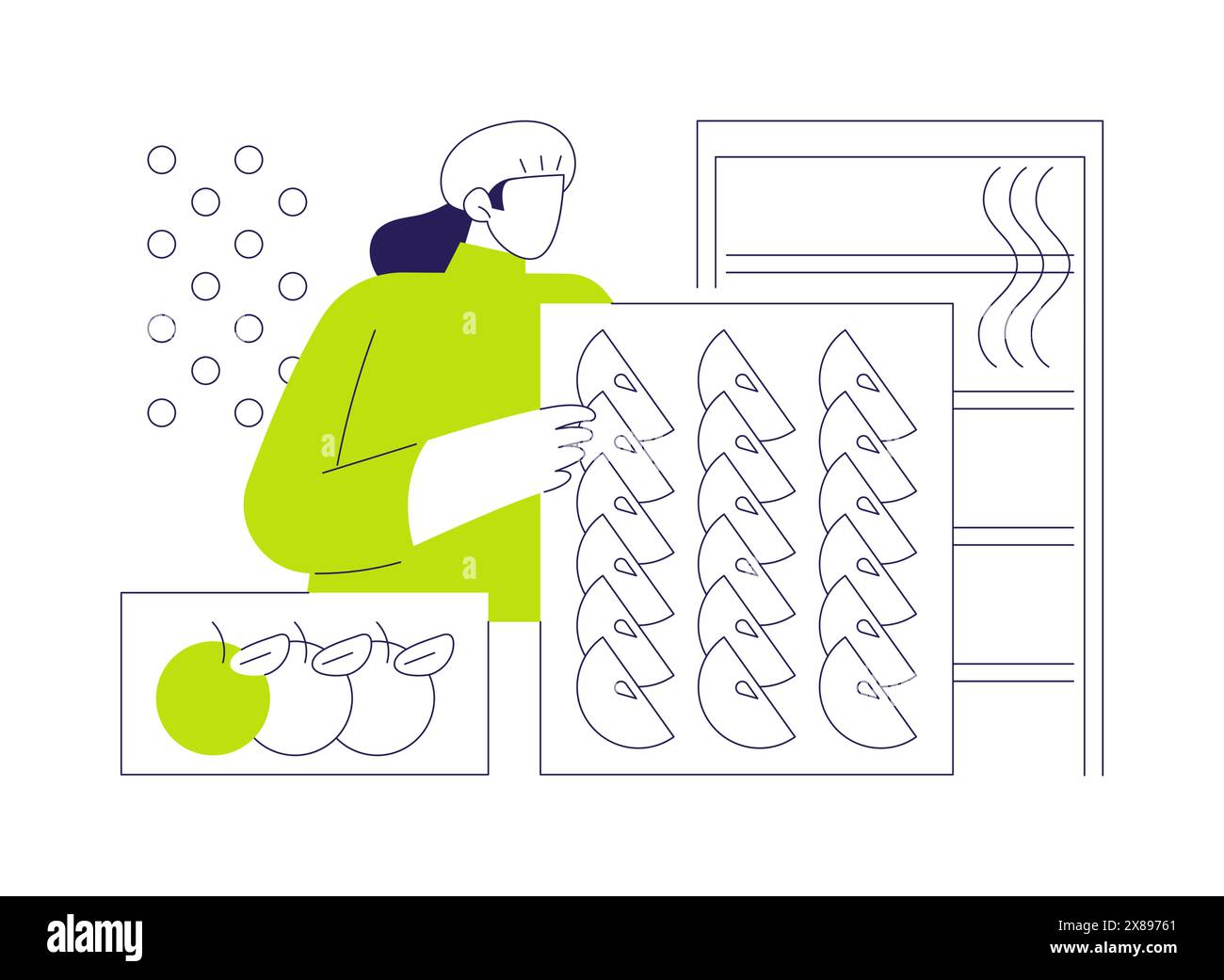 Dehydrated fruits production abstract concept vector illustration Stock ...