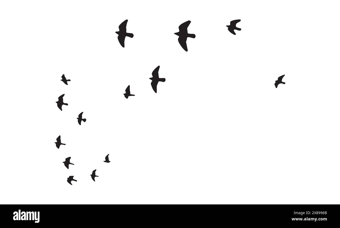 Flying Birds Vector And Illustration Stock Vector Image & Art - Alamy