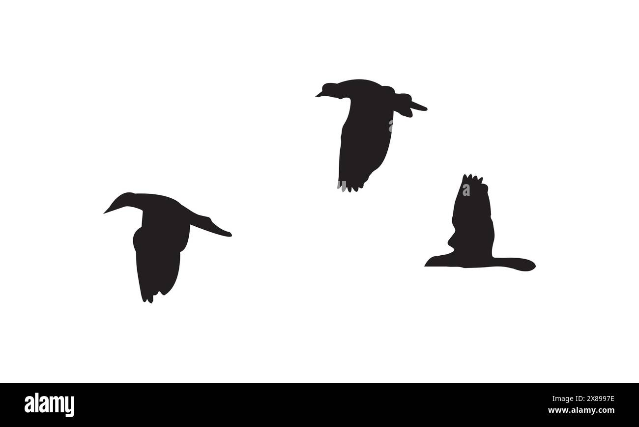 Dramatic bird flying Stock Vector Images - Alamy