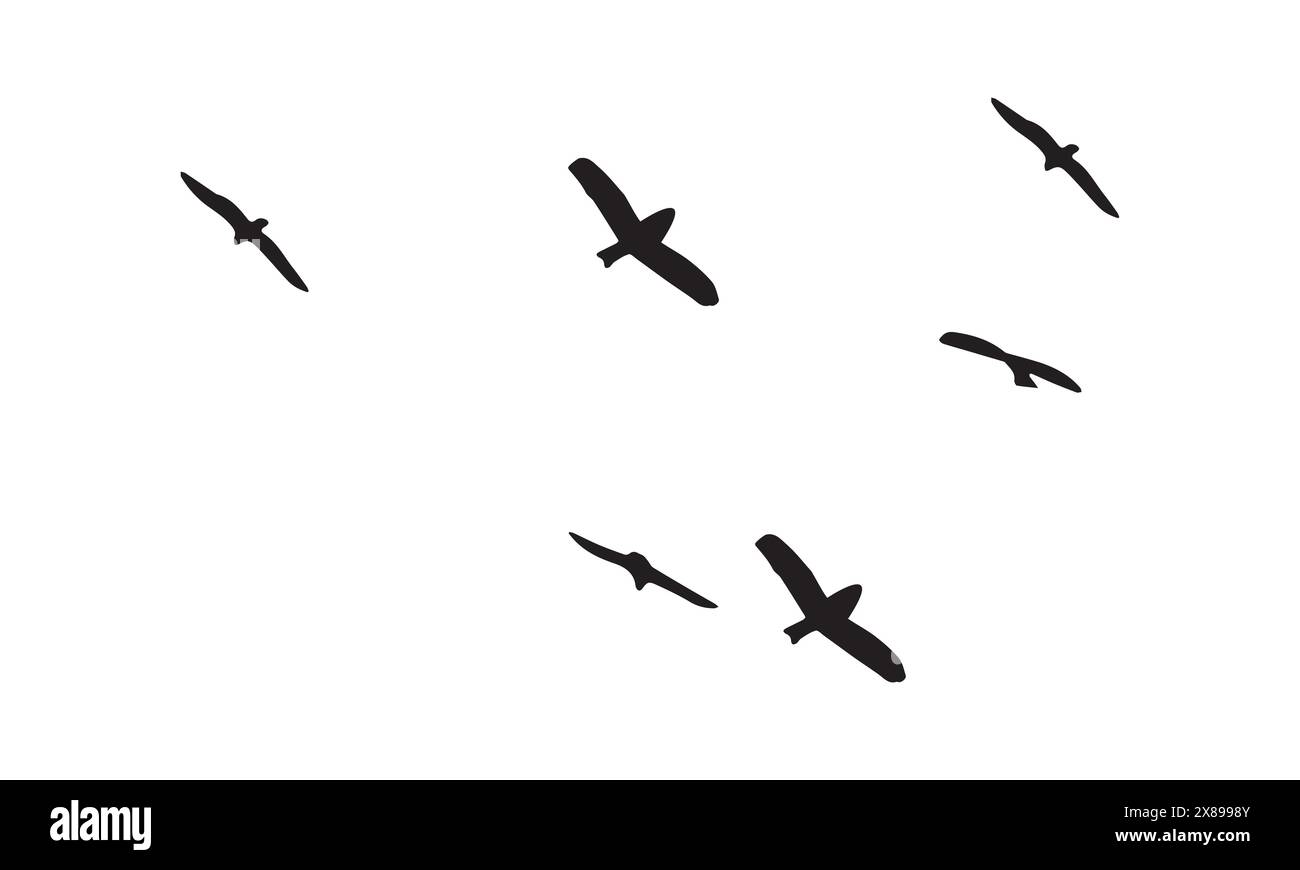 Flying Birds Vector And Illustration Stock Vector Image & Art - Alamy