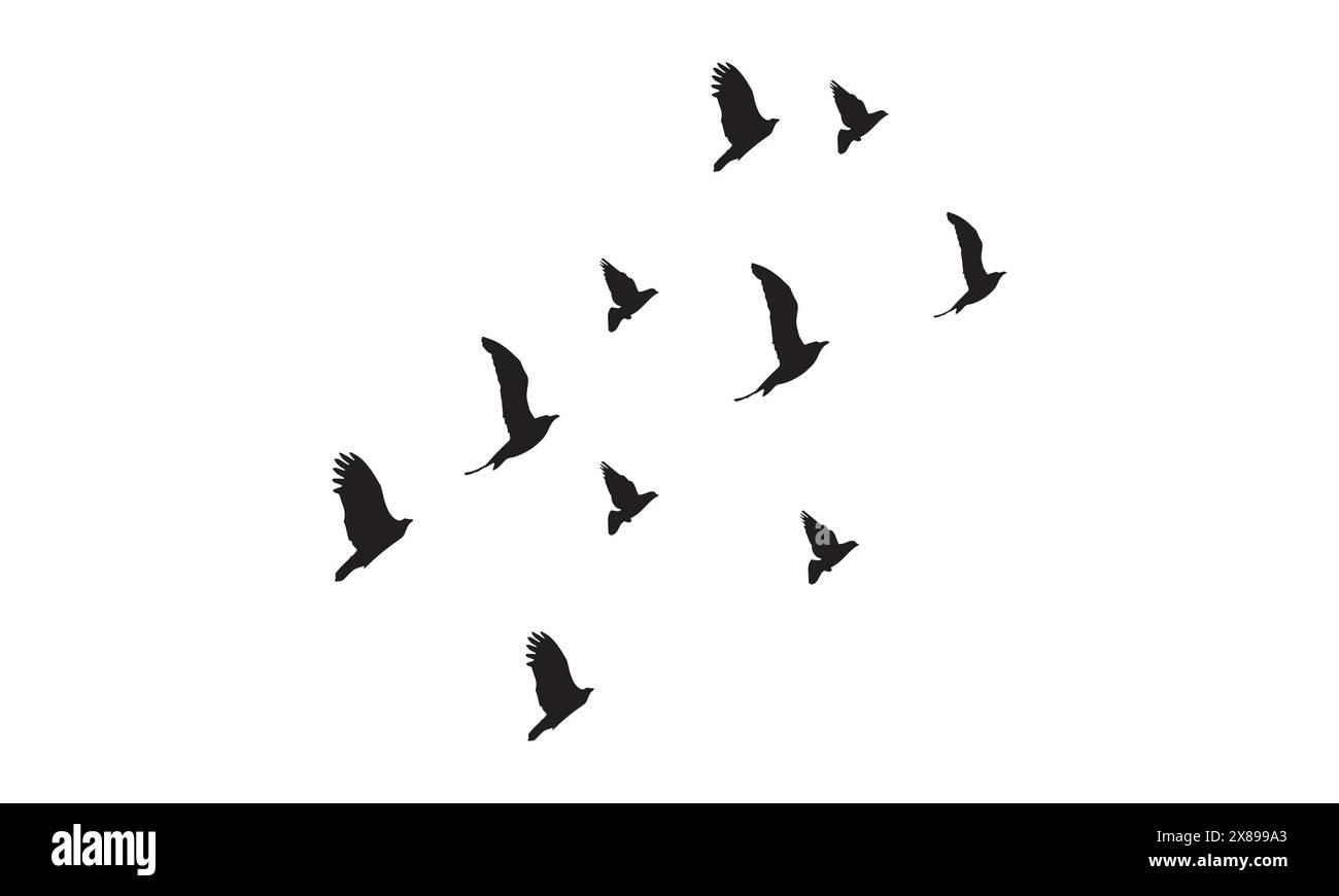 Birds flying flock of birds Stock Vector Images - Alamy