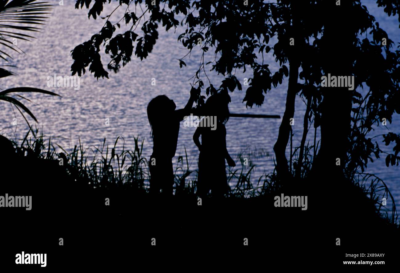 Indigenous Cocama children Stock Photo - Alamy