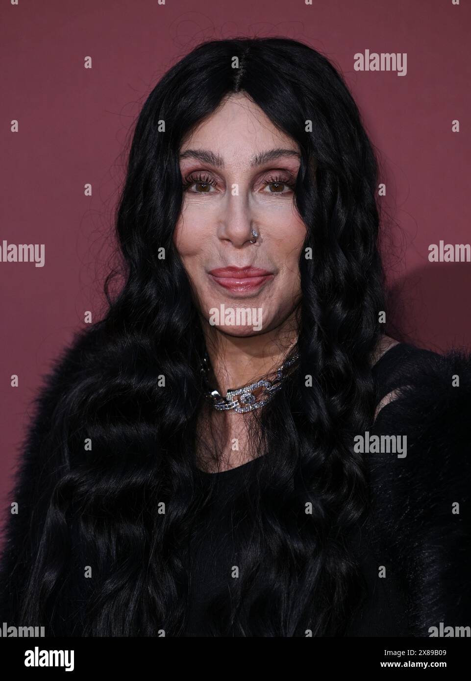 Cannes, France. May 23rd, 2024. Cher arriving at the 2024 amfAR Gala ...
