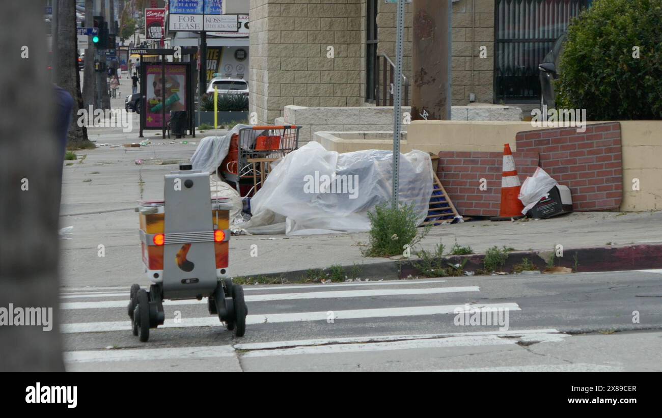 Los Angeles, California, USA 23rd May 2024 The Garfield Movie Delivery ...