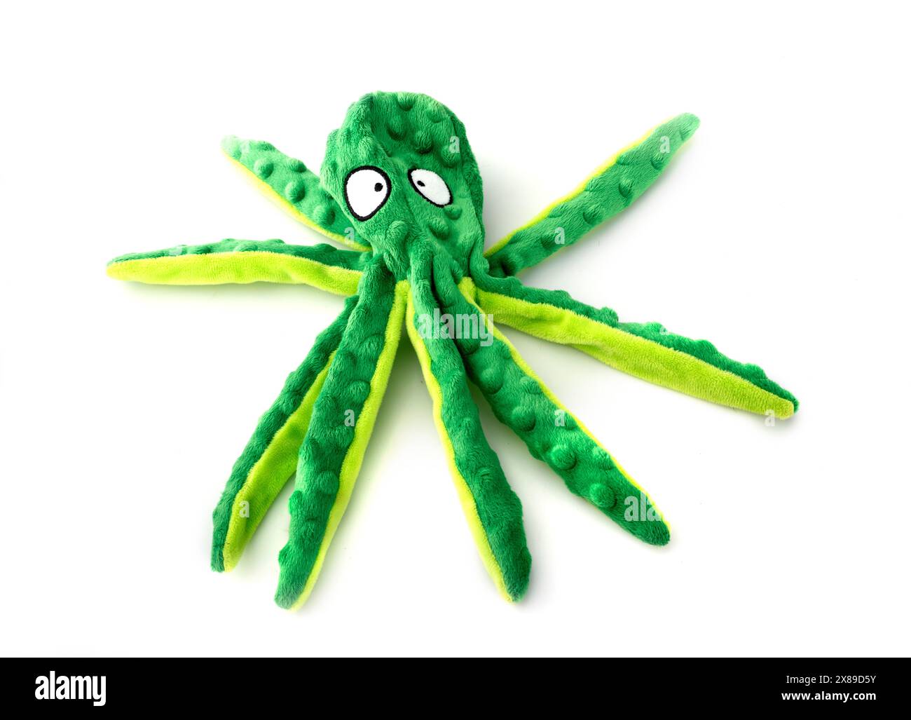 green octopus in front of white background Stock Photo - Alamy