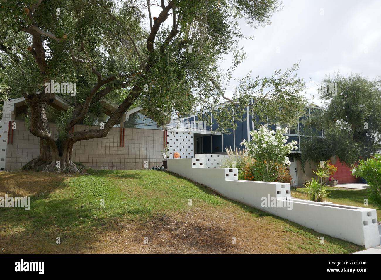 Las Vegas, Nevada, USA 14th May 2024 Actress/Entertainer Debbie Reynolds and Professional Boxer ...