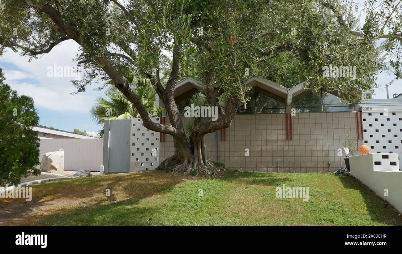 Las Vegas, Nevada, USA 14th May 2024 Actress/Entertainer Debbie Reynolds and Professional Boxer ...