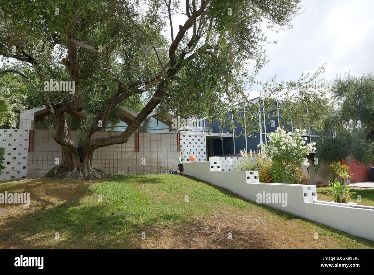 Las Vegas, Nevada, USA 14th May 2024 Actress/Entertainer Debbie ...