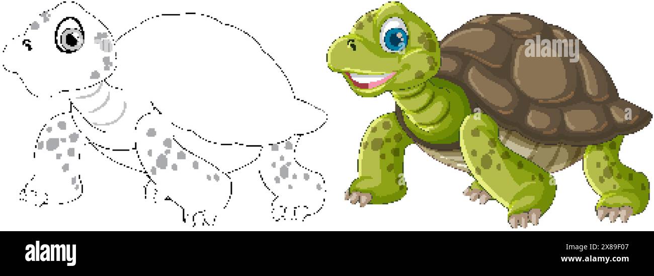 Colorful and outlined turtle side by side Stock Vector Image & Art - Alamy