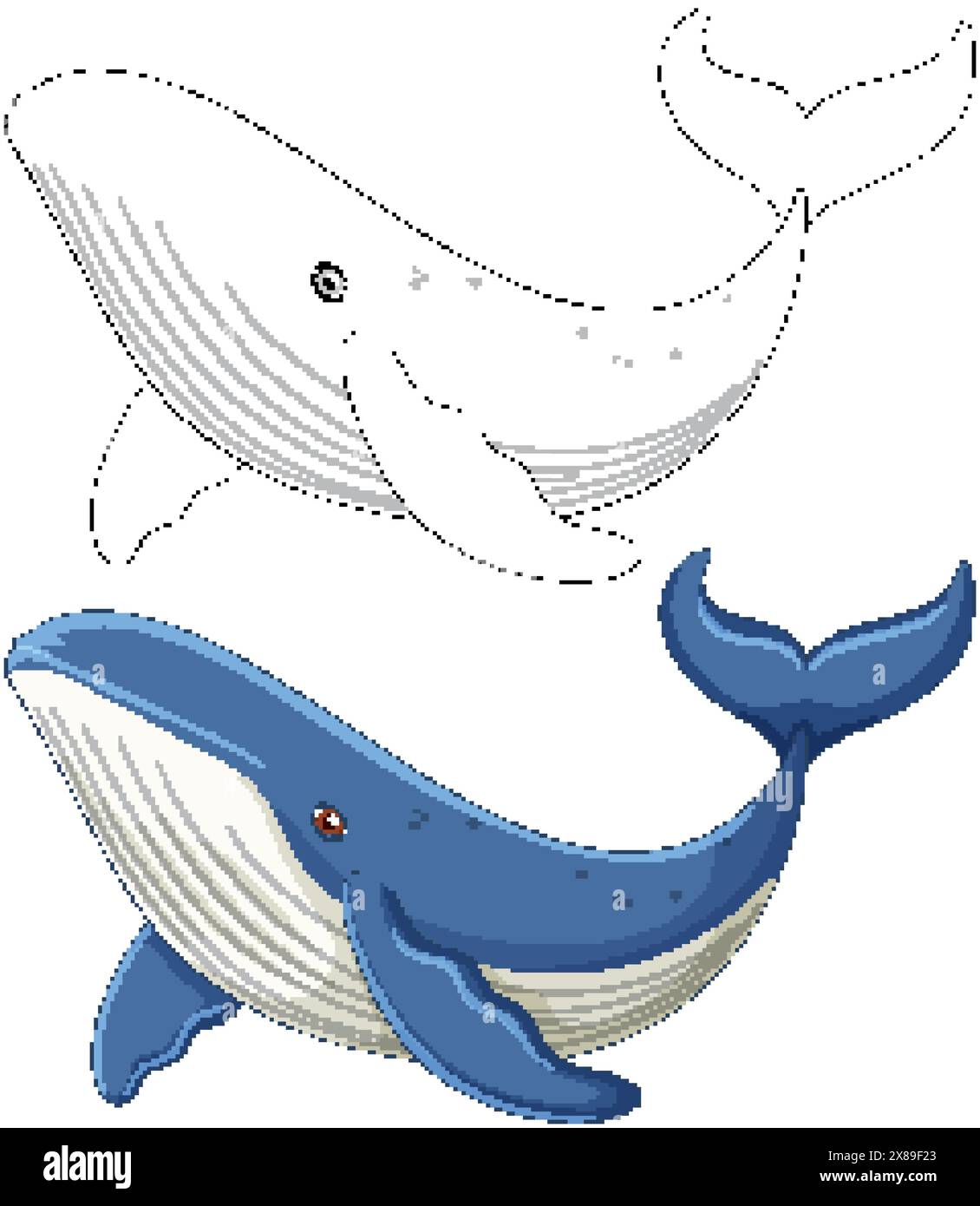 Two whales, one colored, one outlined Stock Vector Image & Art - Alamy