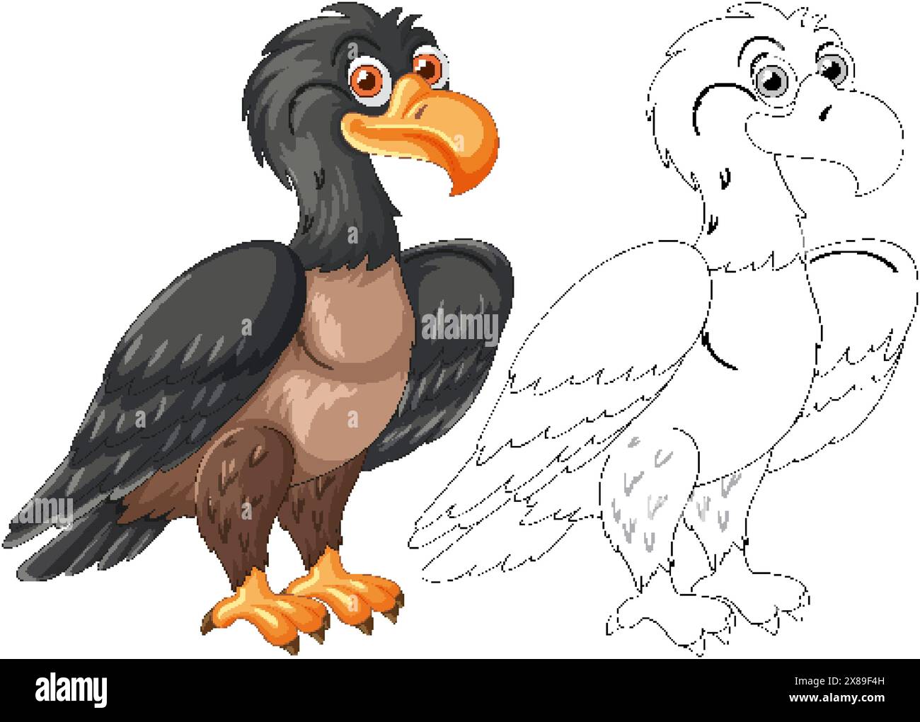 Vector of a bird in color and outline Stock Vector Image & Art - Alamy