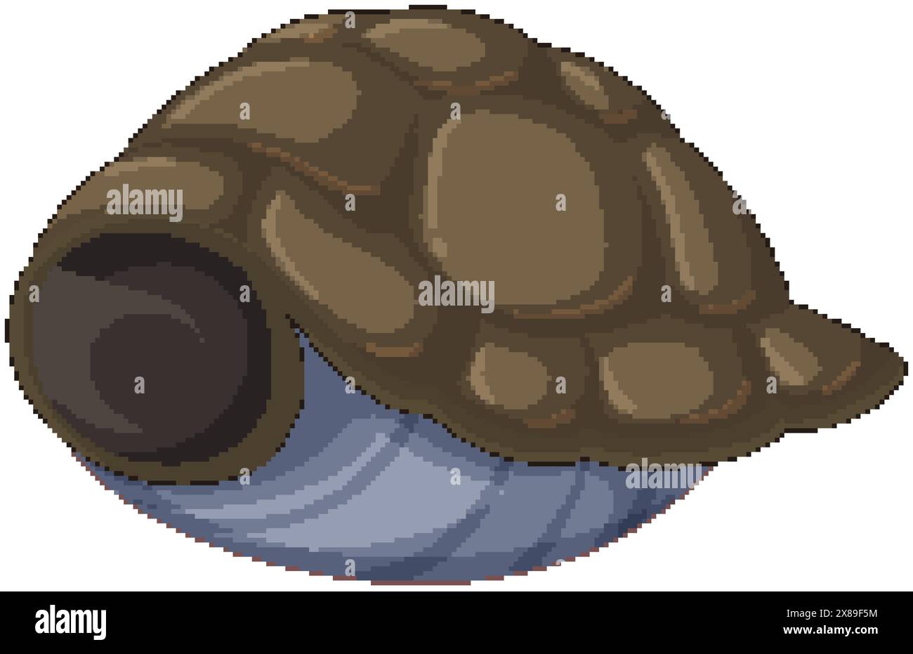 Chelonia vector vectors hi-res stock photography and images - Alamy