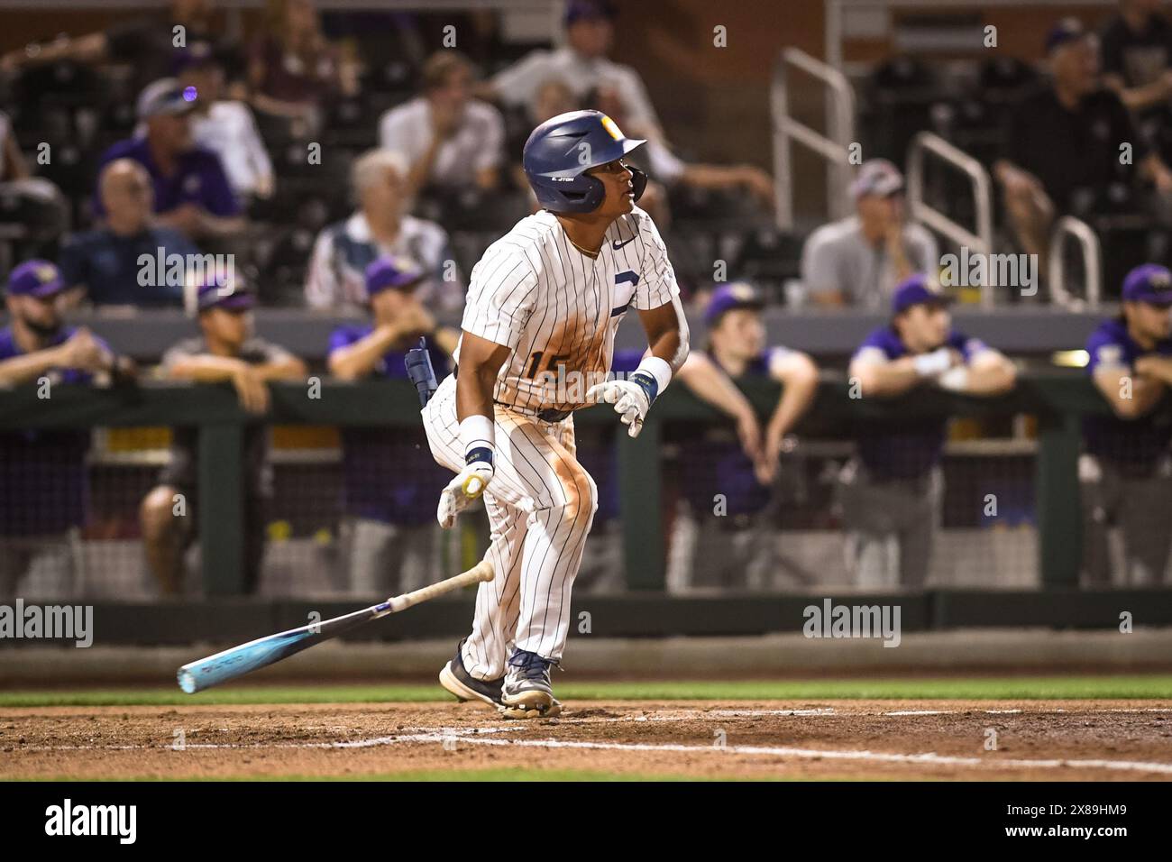 California Bears catcher Caleb Lomavita (15) flies out in the third ...